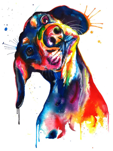 JollyWalker | Pet Services | JollyWalker - Online Store